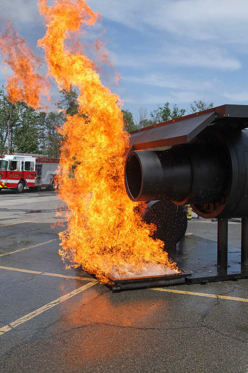 LION Aviation Training Props – Associated Fire Safety Group